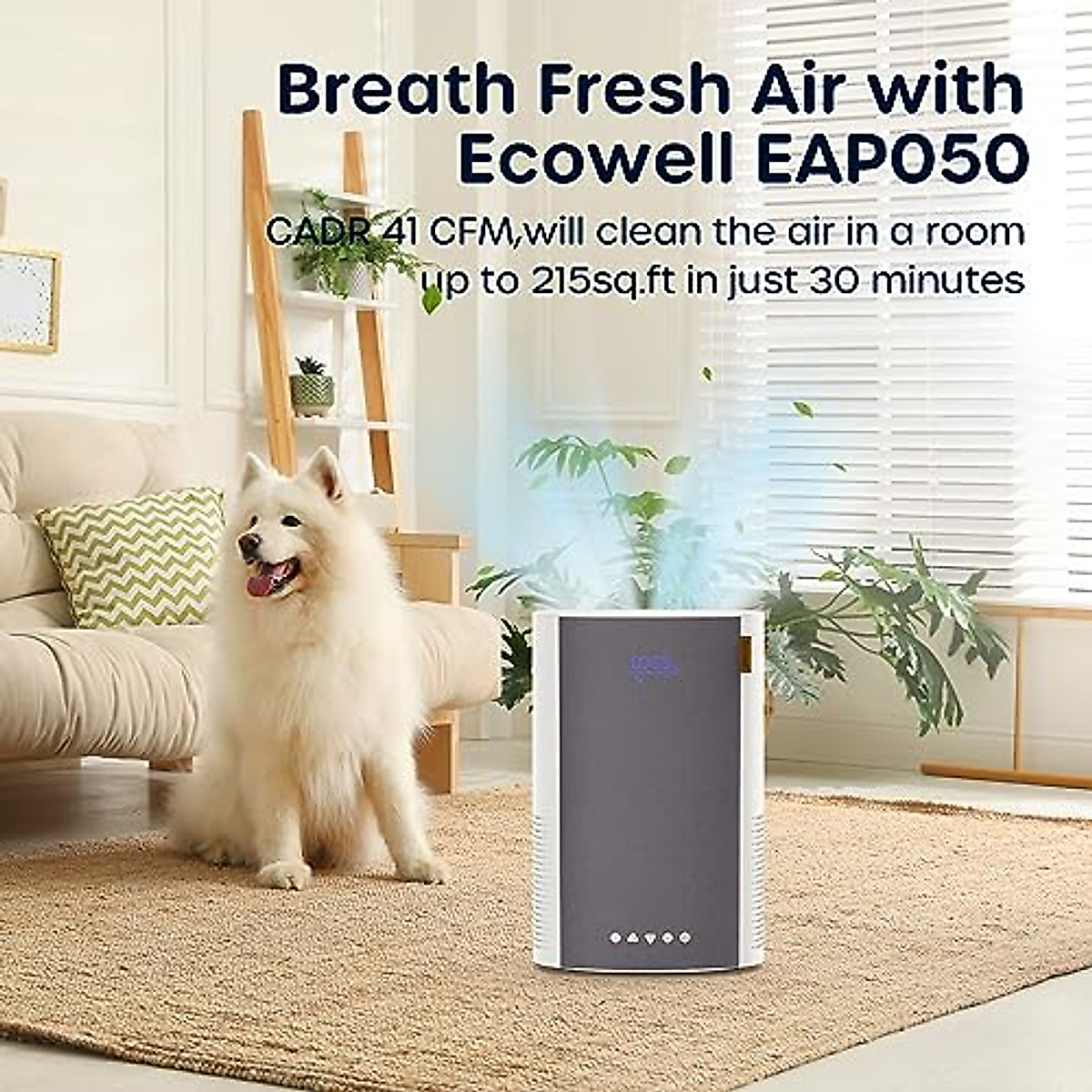 Air Purifiers for Bedroom Home, ECOWELL HEPA H13 Filter Air Purifiers for Home Large Room Office Living Room, Small Air Purifier for Pet Dander Odors Smokers Pollen Dust, Air Cleaner with Sleep Mode