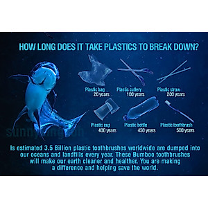 EveEco 12 Count I Bamboo Toothbrush I Soft Bristles Best for Sensitive Gums I Charcoal I Vegan I Natural Wood I BPA Fee I Recyclable I Compostable I Biodegradable | Environmentally Friendly