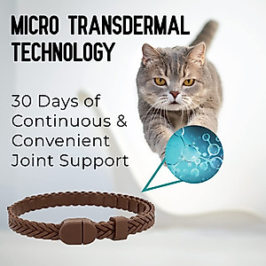 ACTIVPHY Hip + Joint Mobility Collar for Cats with Glucosamine, Chondroitin, MSM, and More | Convenient & Easy | 30 Days of Continuous Support | Water Resistant, Adjustable