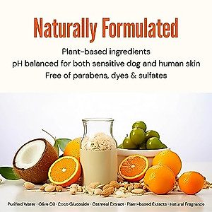 PetClan Citrus Naturally Formulated Dog Paw Cleaner with 'Squarub' Brush|USA Brand|No-Rinse Sulfate-Free Dry Shampoo For Dogs|Gift Box with Microfiber Absorbent Towel