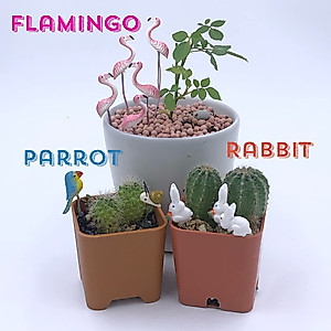 Ray 1979 Miniature Dollhouse Fairy Garden 0.5 inch Accessories 5 pcs Set for DIY Decorations, Mini Figurines for Mini Garden, Terrarium, Bonsai, Cactus, Moss Landscape (Rabbit -5Pcs)