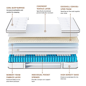 TeQsli Queen Mattress 12 Inch, Sleep Cooler Eggshell Memory Foam and 7 Zone Pocket Innerspring Hybrid Mattress Medium Firm, Queen Bed Mattress in a Box, 100-Night Trial, 10-Year Support