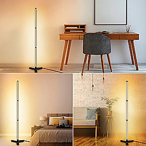 PMS Floor Lamp Mood Light Standing Corner Lamp Reading Light for Living Room, Bedroom, Office or Study Room (Warm White)