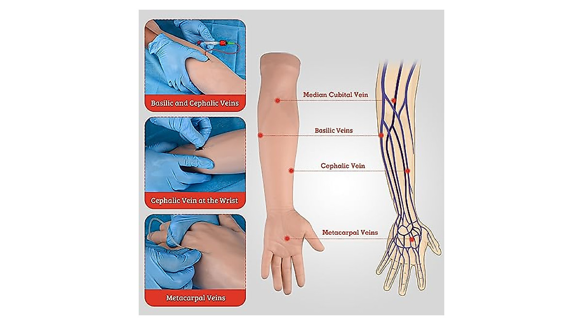 SimCoach IV Practice Arm - Realistic Phlebotomy Training