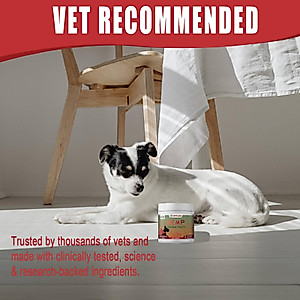 HYPOCBD Natural Calming Chews Hemp For Dogs - Helps With Anxiety, Stress Relief, And Barking, Dog Calm, Dog Calming Treats, Puppy Calming Chews Sleeping Aid For All Dogs Ages Breeds & Size - 120 Chews