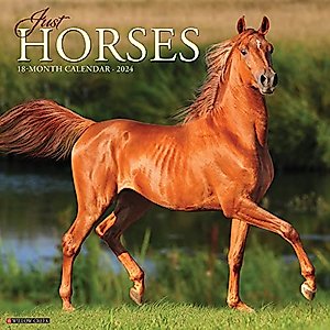 Willow Creek Press Horses Monthly 2024 Wall Calendar (12" x 12")