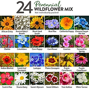 90,000+ Wildflower Seeds - Bulk Perennial Wild Flower Seeds Mix - 3oz Flower Garden Seeds for Attracting Bees, Birds & Butterflies - 24 Variety Plant Seeds for Planting Outdoor Garden