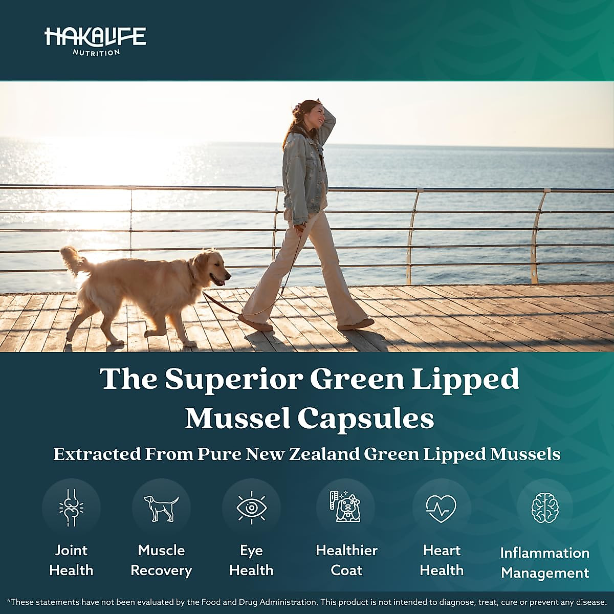 GLX3 Green Lipped Mussel Oil for Dogs | Joint & Hip Comfort Omega-3 Supplement | Ideal for All Dog Breeds and Ages | 1 Month Supply, 60 Soft Chews w/Natural Ingredients