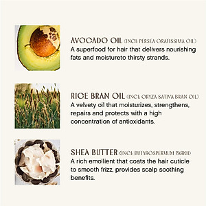 INNERSENSE Organic Beauty - Natural Color Radiance Daily Conditioner | Non-Toxic, Cruelty-Free, Clean Haircare (10 fl oz | 295 ml)