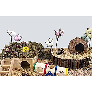 Shuoxpy Small Animal Hideout Multi-Chamber Hamster House Maze Small Pets House Habitats Decor for Hamster Mice Gerbils Mouse (S)