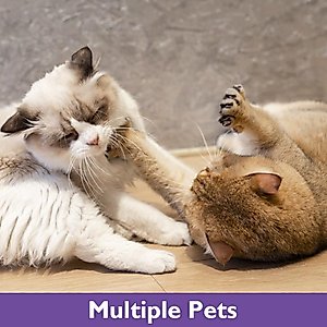 3 Pack Calming Collar for Cats and Kittens Pheromone Collar Efficient Relieve Reduce Anxiety Stress Pheromones Calm Relaxing Comfortable Breakaway Collars Adjustable for Small, Medium Large Cat