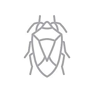 BUGGSLAYER Insecticide Concentrate 16-oz