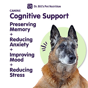 Dr. Bill’s Canine Cognitive Support | Memory Support Supplement Multivitamin for Dogs | Contains Gingko Biloba, L-Carnosine, Vitamin B-12, L-Glutamine, L-Tyrosine, and DHA for Adult and Senior Dog