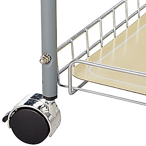 Safco Products 12 Compartment Tubular Steel Wire Mobile Roll File, 100lbs Total Load Capacity, Easy Visibility & Access, Storage Home, Office & Classroom