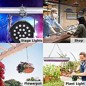 Lsqurel 5 Pack Stage Light Safety Cable Stainless Steel Security Wire for Lighting, Luggage, Garage Goor, Camera