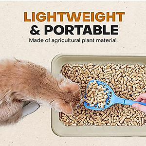 Emerging Green - Disposable Litter Box, Earth-Friendly Litter Pan, Mobile Rabbit and Cat Litter Tray, Cat Travel Must-Have with 1 Reusable Plastic Cover, Set of 5 Litter Boxes, 16.5 x 12.5 x 2 inches