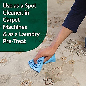 Bio Active Stain & Odor Remover for Pet & Carpet- Pet & People Safe - 32oz Spray