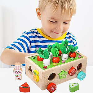 Rexinc Montessori Toys for 1,2,3,4 Year Old Toddlers Boys and Girls,Gifts for 2 Year Old Girls Wooden Educational Sorting Toys,Preschool Learning Gift Carrots Harvest Game Fine Motor Skill