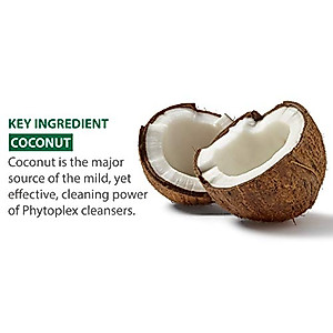 Medline Remedy Phytoplex Hydrating Cleansing Foam, No-Rinse Body Wash and Shampoo, Paraben and Sulfate-Free, 8 fl oz