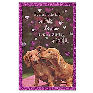 American Greetings Romantic Birthday Card (Dachshunds)