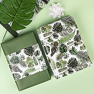 WRAPAHOLIC Reversible Wrapping Paper - Mini Roll - 17 Inch X 33 Feet - Monstera Leaf and Solid Green Design for Birthday, Party, Baby Shower