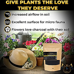 Organic Horticultural Charcoal & Terrarium Charcoal | Charcoal for Plants | Pure Hardwood Charcoal for Planting and Gardening | (1 Quart)