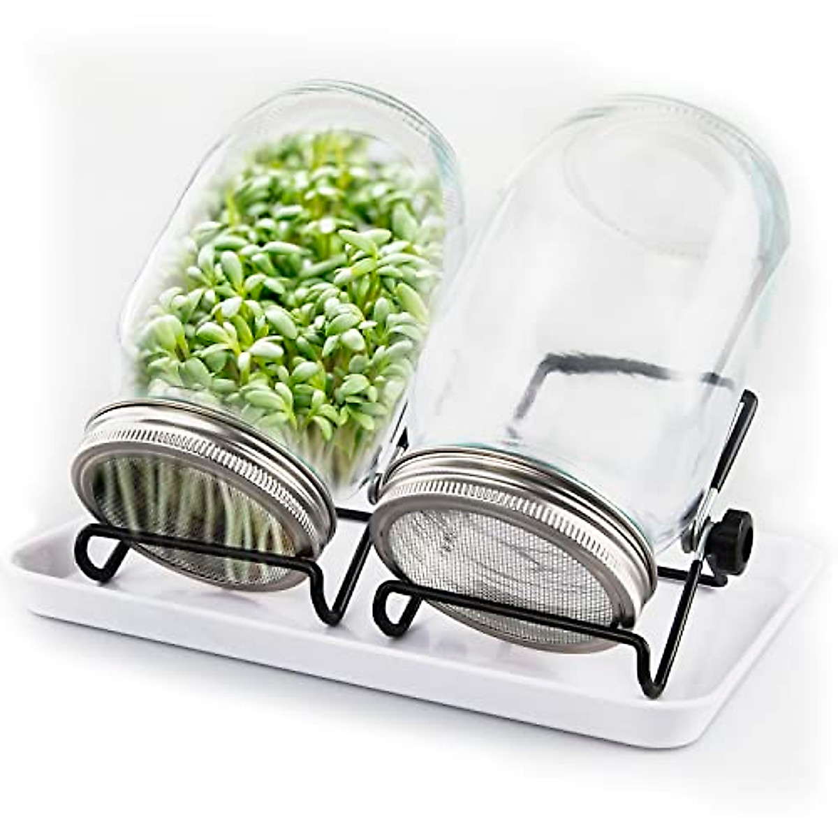 C CRYSTAL LEMON Sprouting Jar Kit – Sprouts Growing Kit with 32oz Glass Sprouting Jars with Screen Lids, Jar Stands, Drip Tray – Indoor Grow Kit for Alfalfa, Beans, Broccoli, Microgreens