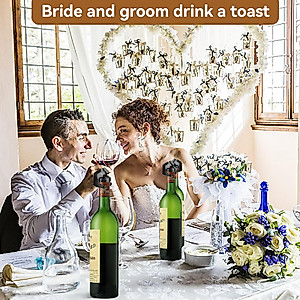 HERCHR 5PCS Wine Bottle Stoppers, Champagne Bottle Stopper with Food Grade Silicone Leak proof Keep Fresh, Champagne Stopper Professional Wine Saver for Champagne, Cava, Prosecco and Sparkling, Black