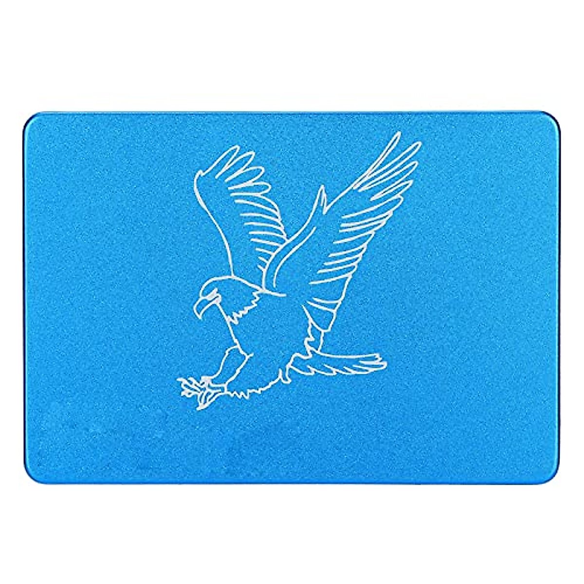 Garsentx Hsthe Sea SSD Automatic Recognition Intelligent Error Correction Blue Metal 2.5‑inch Hard Drive for Storing Data for OS X/Linux/Windows XP/Win/7/8/10 (8GB)