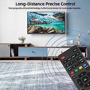 Amiroko Universal TV Remote Control for LG, Samsung, Sony, Philips, Panasonic, Sharp, Toshiba, Hitachi, Vizio, TCL, JVC, Hisense, Vestel, Seiki, Sanyo, Insignia, Magnavox, RCA, Westinghouse Smart TVs