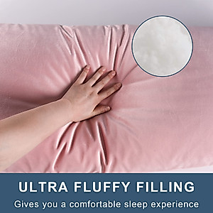 Bedream Full Body Pillow for Adults (Pink, 20 x 54 Inch), Long Pillow for Sleeping, Big Pillows for Bed, Cuddly Large Body Pillow with Velvet Cover