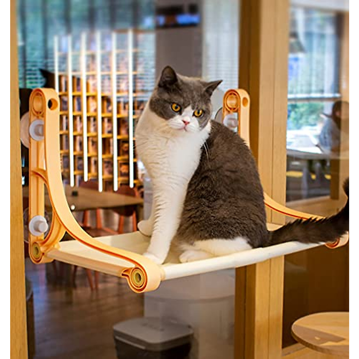 Cat Window Perch,Cat Hammock Window with Two Modes of Use and Easy to Install, Cat Window Bed with Powerful Suction Cups and Easy Cleaning, for Large Fat Cats or Two Cats ，Orange