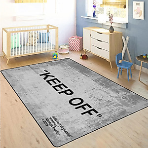 ZTFGZSXG Keep Off Area Rugs Grey 3D Printed Modern Large Carpet Non-Slip Floor Mat Rugs for Bedroom Livingroom Playroom Home Decor Mat 16"" x 24""