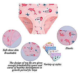Baby Soft Cotton Underwear Little Girls'Briefs Toddler Training undershirts (Pack Of 6) 2t Rose