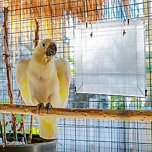 Ipetboom Bath Tray Bath Tray Clear Container Clear Tub Bird Bath for Cage Clear Acrylic Bird Bathtub Parrot Parakeets Shower No Bird Feeder for Cage Bathtub Box Small Bird Parrot Food Tray Food Tray