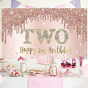 2nd Birthday Banner Backdrop Decorations for Girls, Rose Gold Happy 2 Year Old Birthday Sign Party Supplies, Pink Second Birthday Poster Background Photo Booth Props Decor