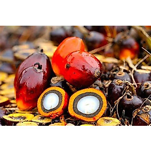 Flourish Naturals Organically Crafted Batana Oil 4oz Hair Conditioner 4 Fl Oz (Pack of 1)