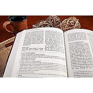The Passion Translation New Testament, Burgundy, Large Print (Faux Leather) – In-Depth Bible with Psalms, Proverbs, and Song of Songs, Makes a Great Gift for Confirmation, Holidays, and More