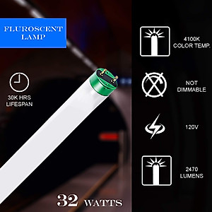 DYSMIO Case of 30 48 inch 32 Watts T8 High CRI Fluorescent Tube Light eco- Friendly Replacement Bulbs with Alto II Technology- 30 Pack, 4000K - Cool White