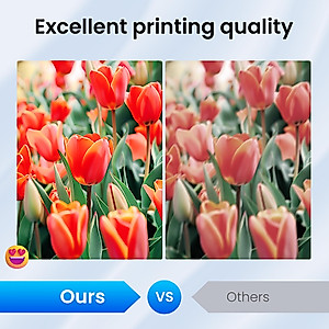 GREENBOX Remanufactured Toner Cartridge Replacement for Lexmark 801H 80C1HK0 801HK 80C1HC0 801HC 80C1HM0 801HM 80C1HY0 801HY, High Yield for CX410 CX410de CX410dte CX510 CX510de CX510dthe CX510dhe