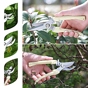 BUGUI Garden Pruning Shears Set - 2 Pack, 1 Bypass Pruner+1 Straight Blade Scissors, Sharp Garden Shears for Cutting Flowers, Trimming Plants, Bonsai, Fruits Picking
