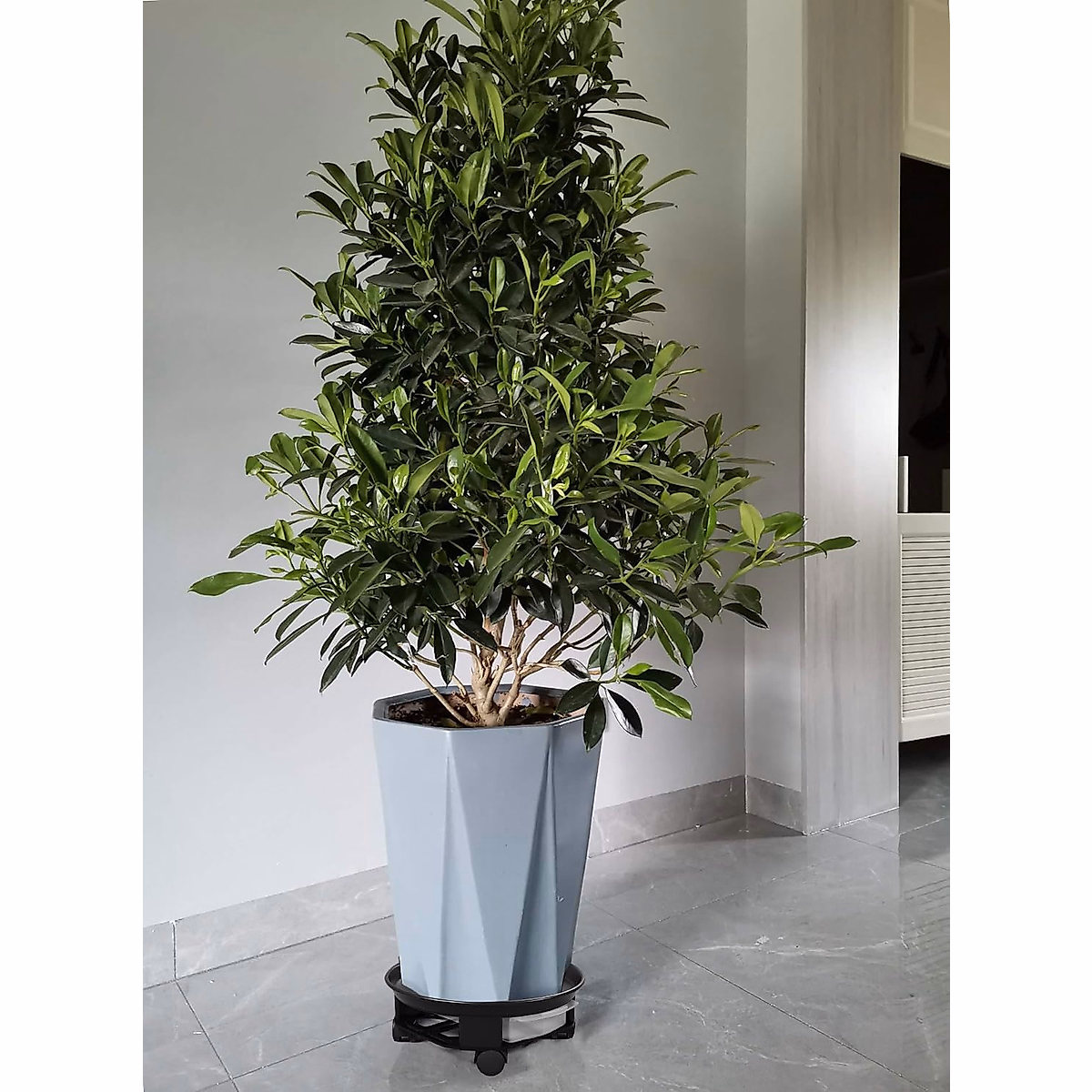 Amkoskr 1 Pack 17.7" Black Plant Caddy with Easy Moving Caster Wheels and a Water Container Round Movable Planter Dolly Trolley Tray Pallet Outdoor Indoor Tree Flower Stand Planter