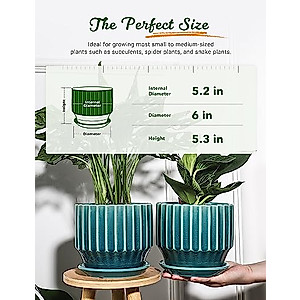 AISBUGUR Plant Pots 6 inch Ceramic Pots for Indoor Plants Set of 2 Flower Pots Unique Crackle Glaze Design Plant Pots with Drainage Hole and Saucer Come with Drainage Nets (Aqua Green)