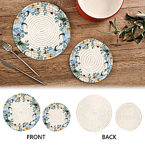 Blue Pumpkins Trivet Pot Holder 2 Pack Cotton Cotton Thread Weave Trivets for Hot Pots and Pans Stylish Coasters for Kitchen Baking Cooking Cups Dinning