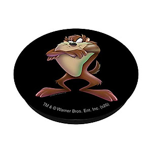 Looney Tunes Tazmanian Devil Airbrushed PopSockets Swappable PopGrip