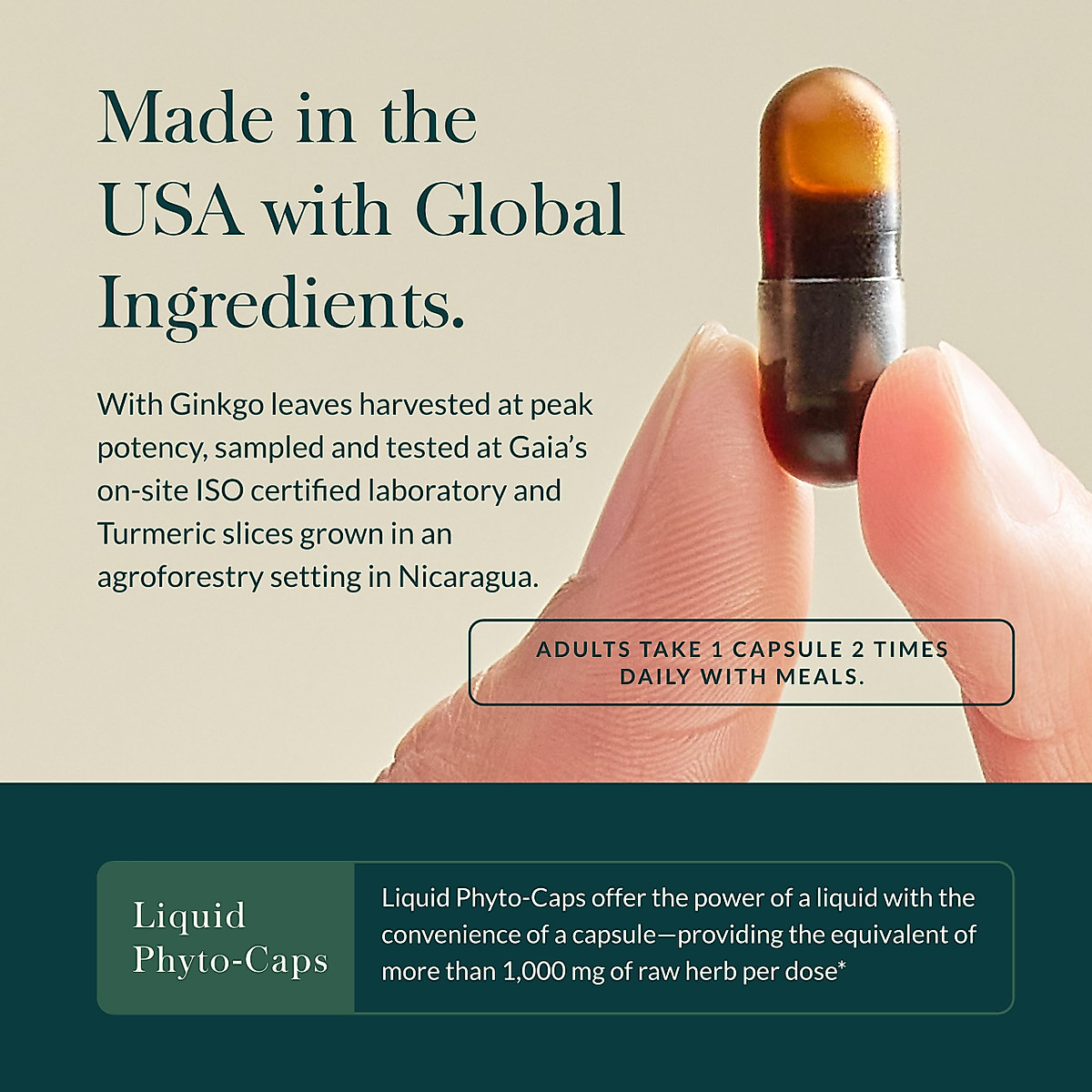 Gaia Herbs Agile Mind - Brain & Cognitive Support Herbal Supplements - with Organic Turmeric Root, Bacopa, Black Pepper, and Ginkgo Biloba - 60 Vegan Liquid Phyto-Capsules (30-Day Supply)