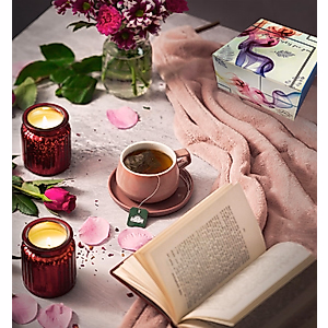 Premiun Tea Sampler Assortment Box (62 Count) 31 Flavors Variety AHMA Assortment Tea Bags Gift for Mom Dad Women Men Friends giftable box - assorted tea bags gifts for tea lovers