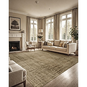 LUMI 4x6 Modern Abstract Area Rug, Ultra-Thin Washable Non-Slip Carpet, Low Profile, Flat Weave Indoor Floor Rugs for Living Room, Bedroom, Dining Room, Home Decor