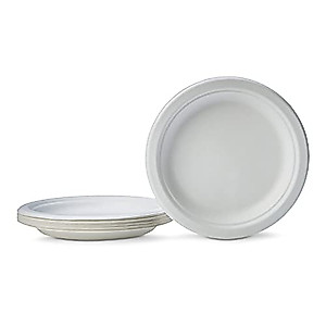 Amazon Basics Compostable Plates, 6-Inches, 125 Count