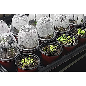 BEWAVE Plant Nursery Pots with Humidity Dome, 100 Sets Indoor Gardening Pot Planting Containers Starter Seed Starting Containers Planters with 100 Pcs Plant Labels, 3.5"
